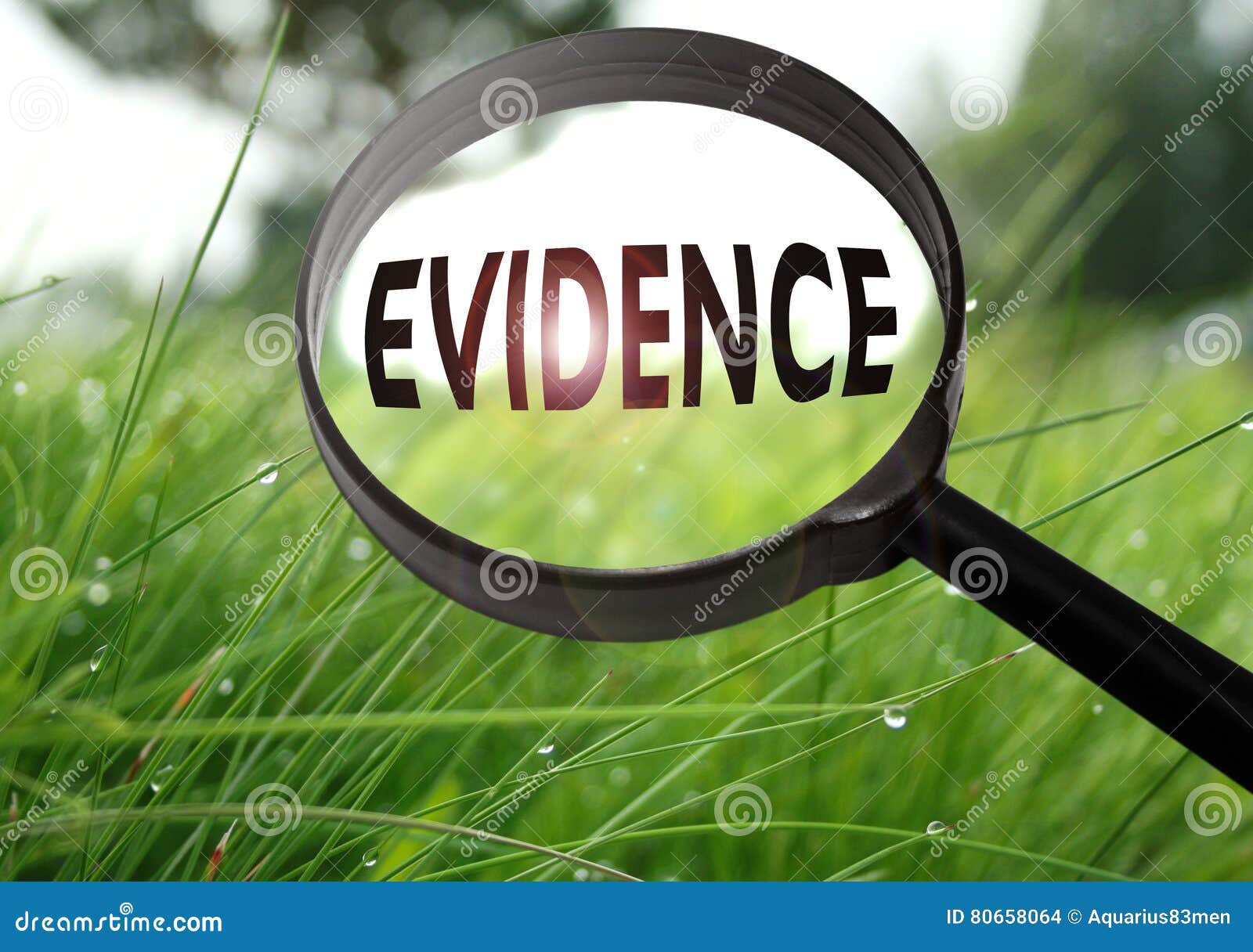 Evidence stock photo. Image of blurred, police, search - 80658064
