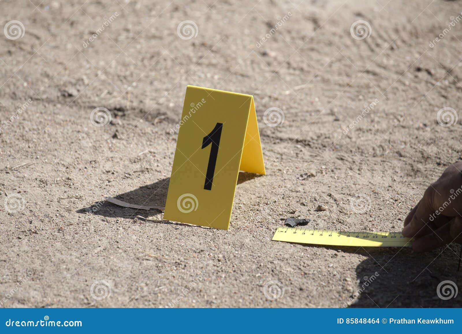 Evidence Marker And Ruler Scale Of Evidence With Law Enforcemen Stock ...