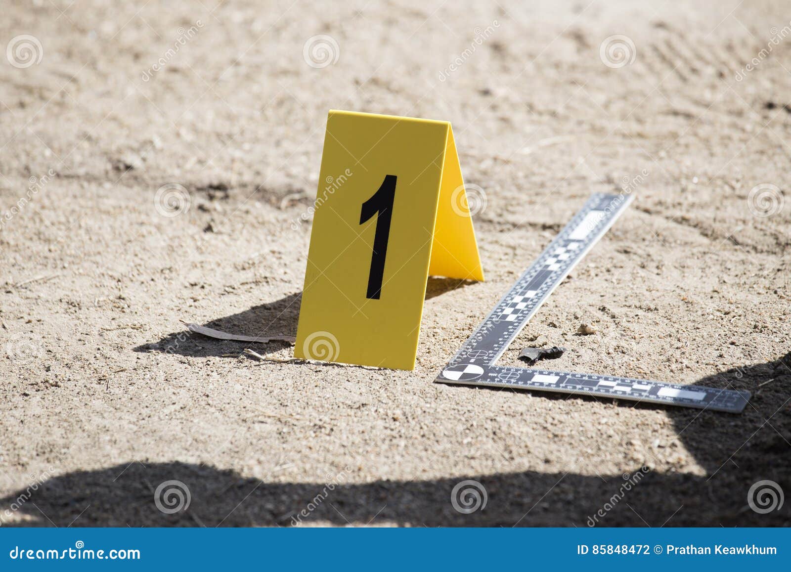 Evidence Marker And Ruler Scale Of Evidence With Law Enforcemen Stock ...
