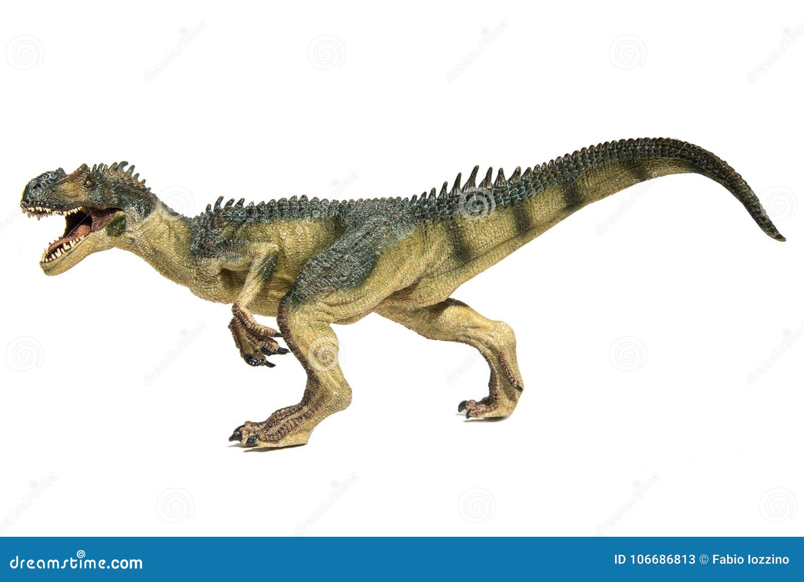 Evil Allosaurus on White Background Stock Image - Image of brachiosaur ...