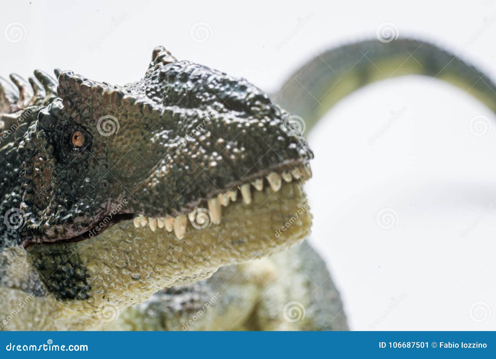 Evil Allosaurus on White Background Stock Image - Image of creataceous ...