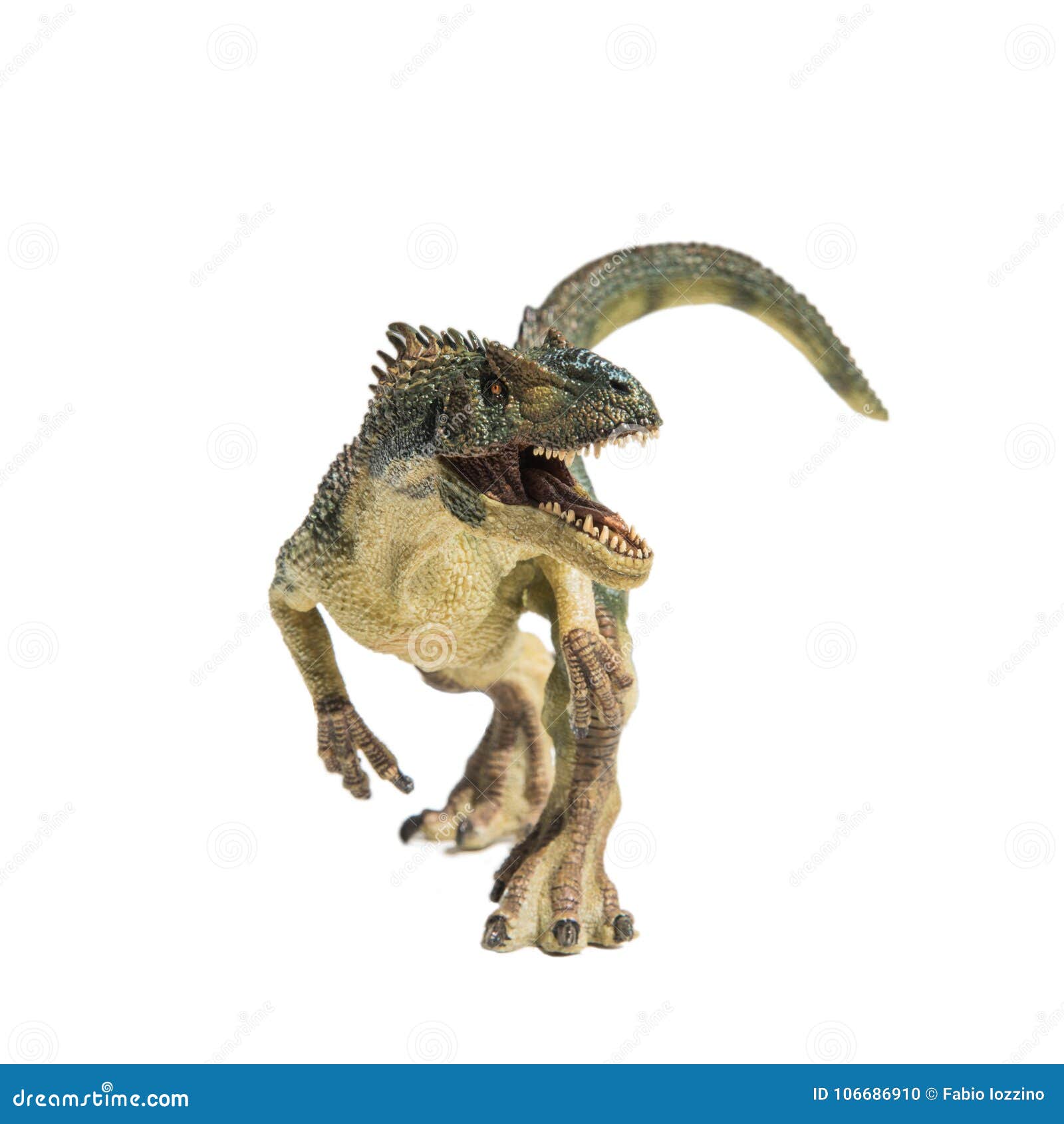 Evil Allosaurus on White Background Stock Photo - Image of carnivore ...