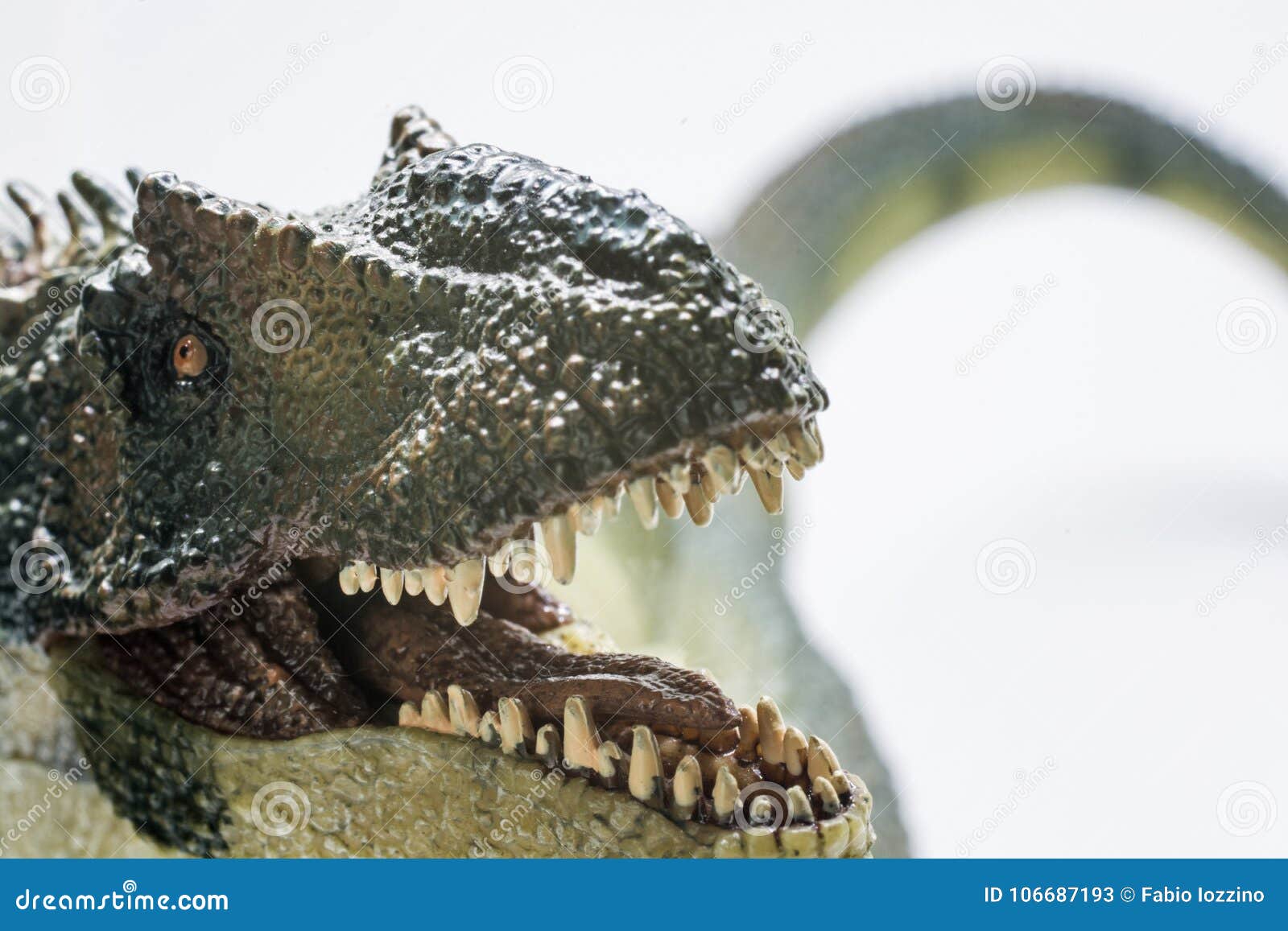 Evil Allosaurus On White Background Royalty-Free Stock Photo ...
