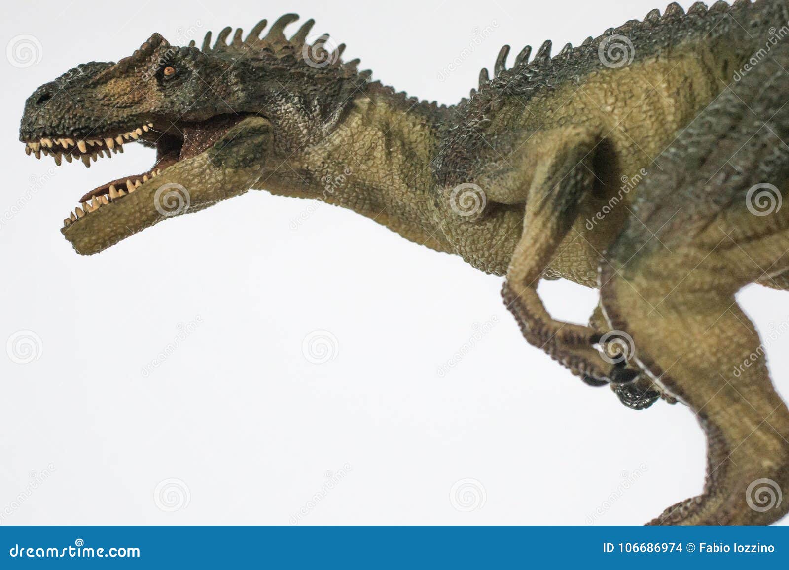 Evil Allosaurus On White Background Royalty-Free Stock Image ...