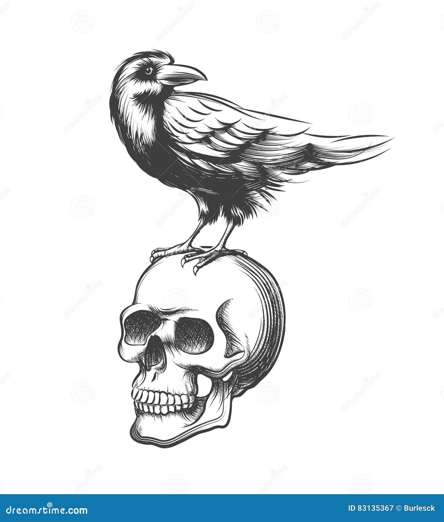 Evil Crow Hand Drawn Illustration. Black Raven Devil on Skull Isolated ...