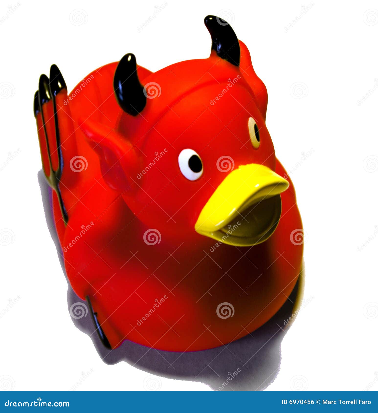 Evil duck stock photo. Image of duck, clean, isolated - 6970456