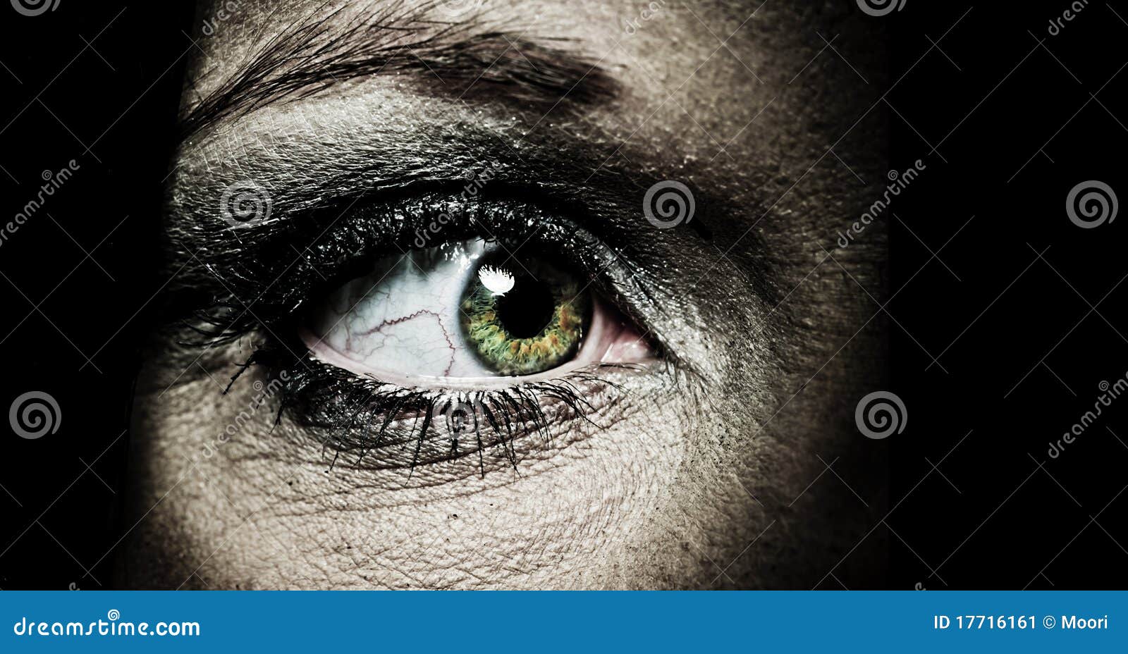 Evil eye stock image. Image of female, dark, scary, halloween - 17716161