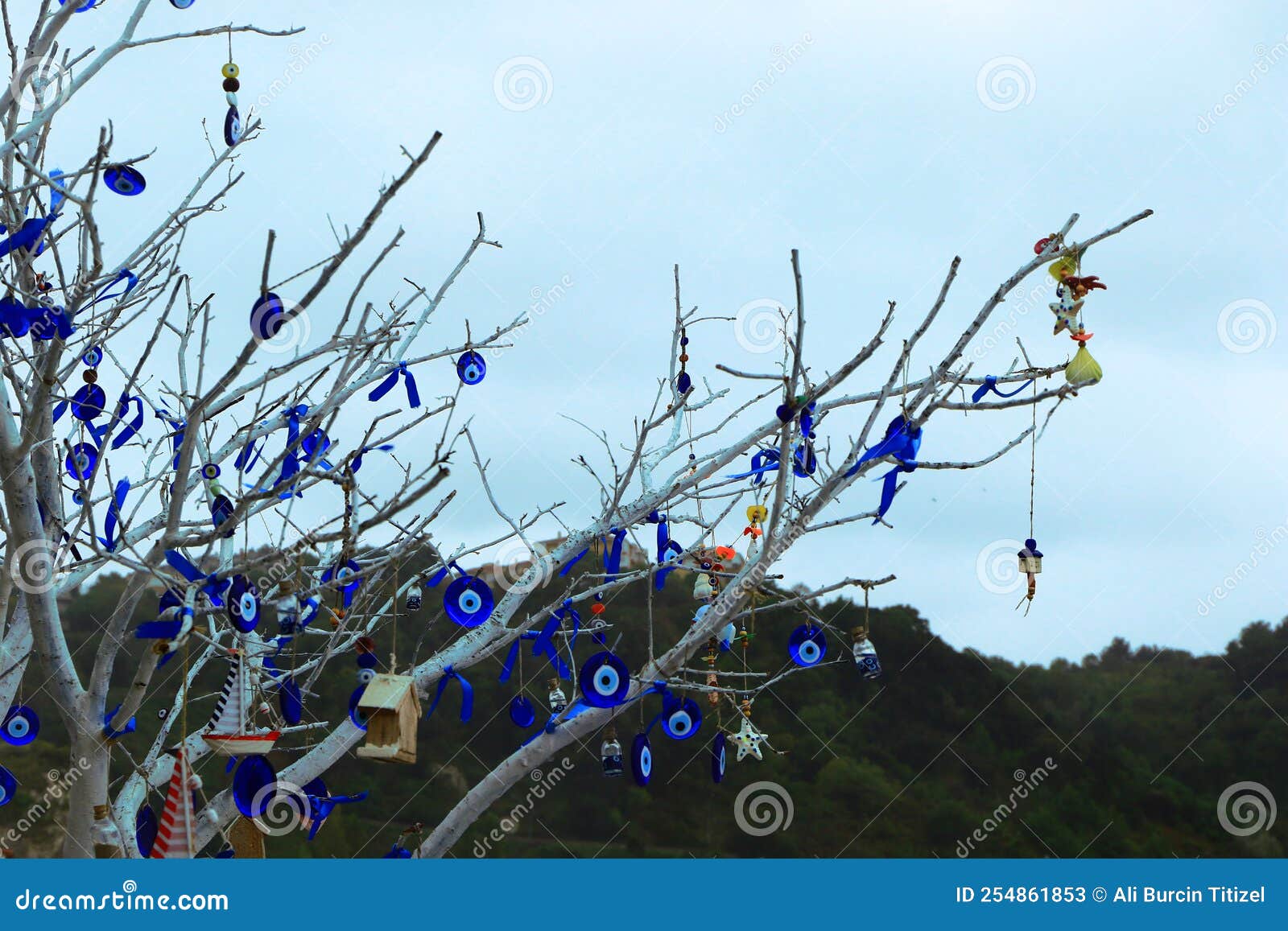 Evil Eye Tree stock image. Image of evil, material, branches - 254861853