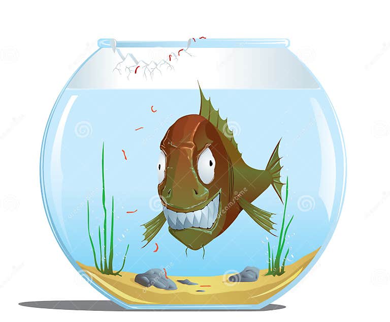 Evil fish in the aquarium stock vector. Illustration of conceptual ...
