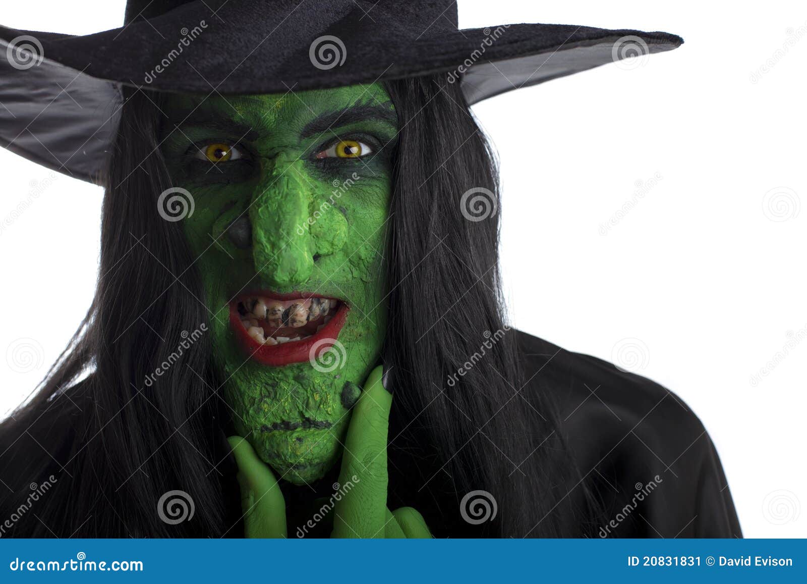 Evil Green Witch. Stock Image - Image: 20831831