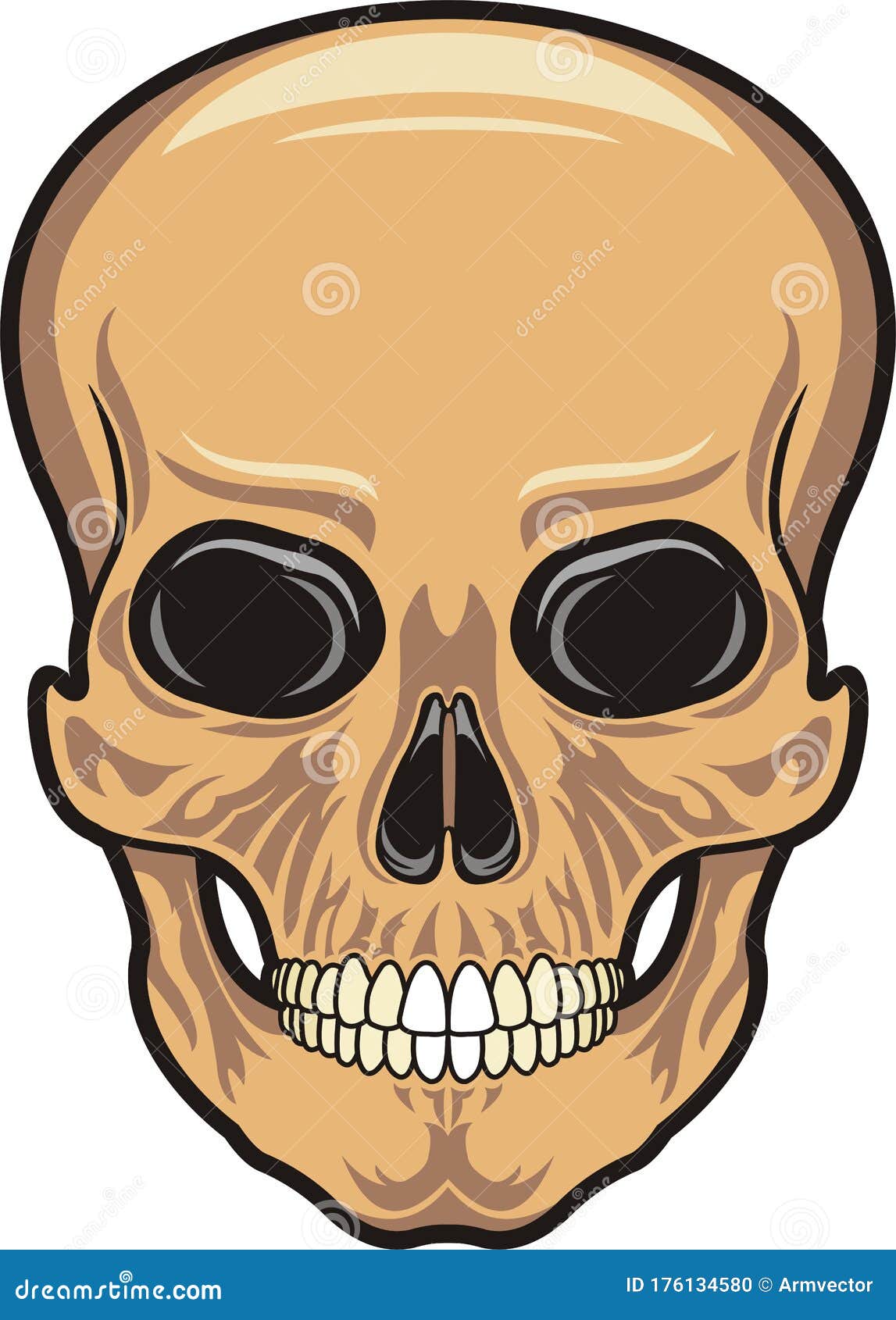 Evil human skull stock vector. Illustration of halloween - 176134580