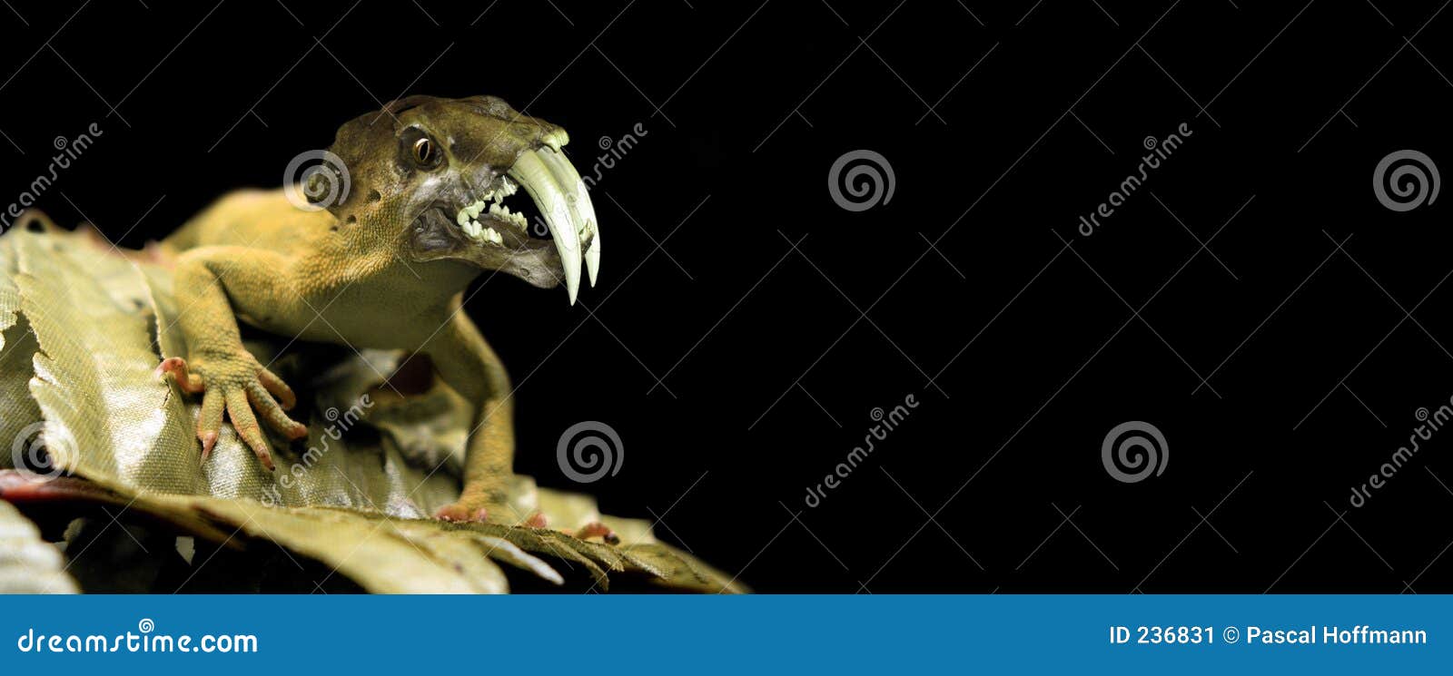 Evil Lizard stock illustration. Illustration of advertising - 236831