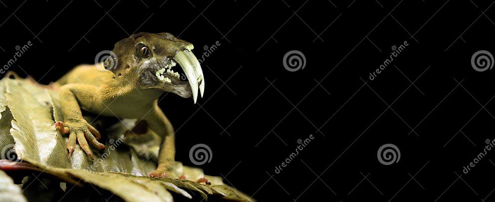 Evil Lizard stock illustration. Illustration of advertising - 236831