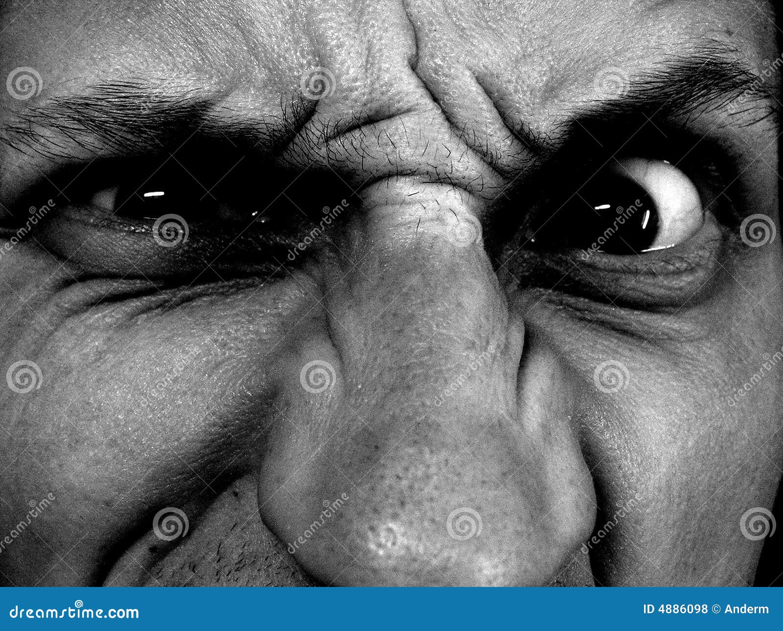 Evil look stock photo. Image of looking, vicious, humor - 4886098