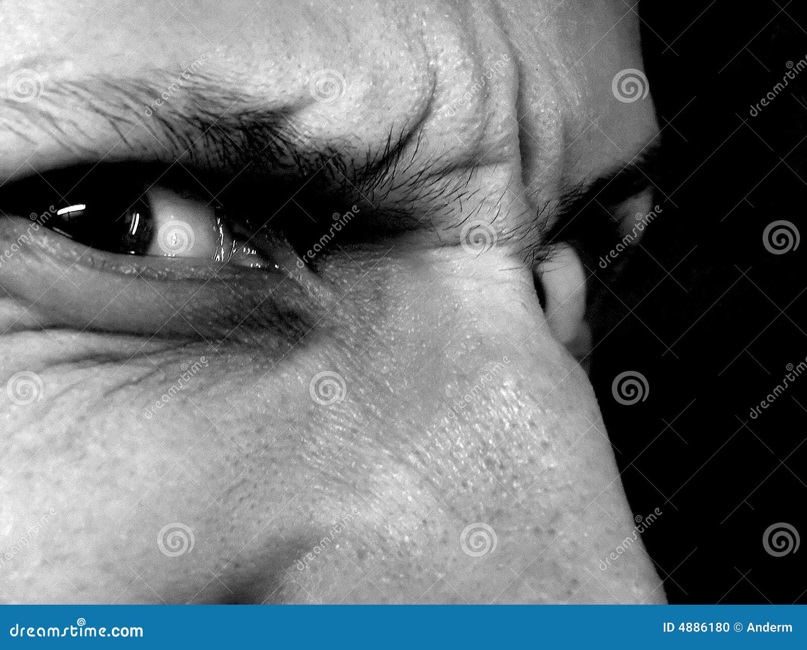 Evil look stock photo. Image of looking, ugly, scary, dark - 4886180