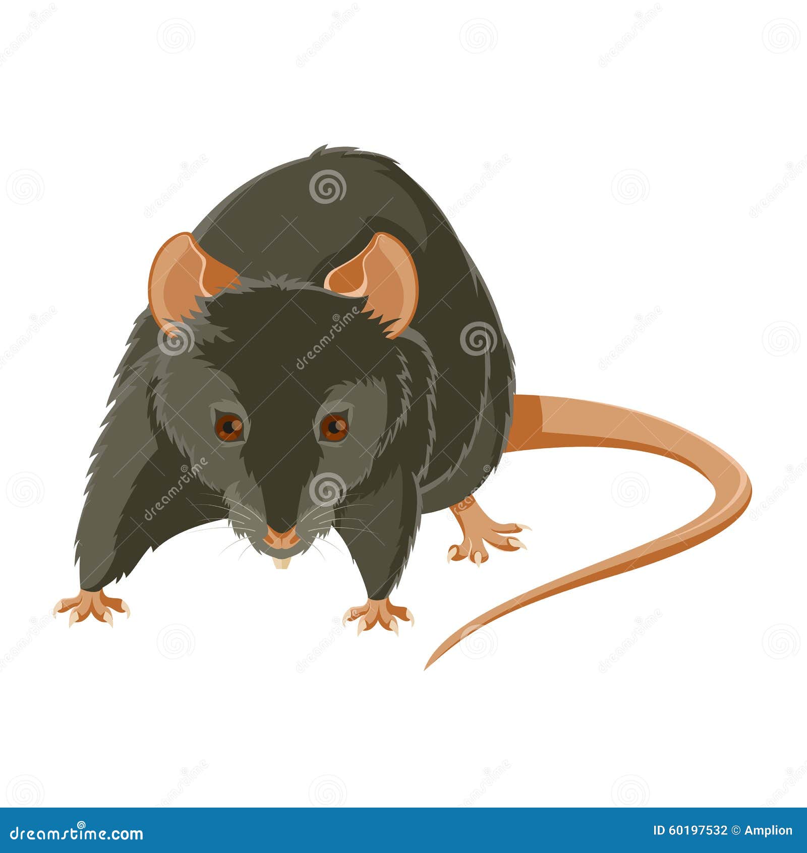 Evil rat stock vector. Illustration of cute, design, black - 60197532