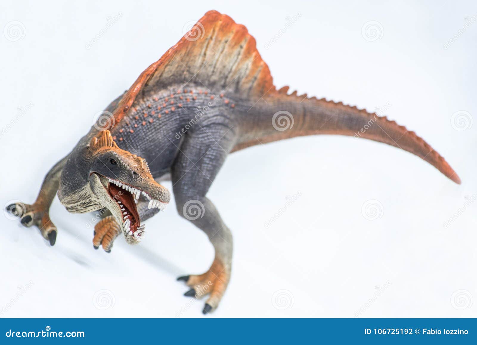 Evil Spinosaurus on White Background Waiting for Attack Stock Photo ...