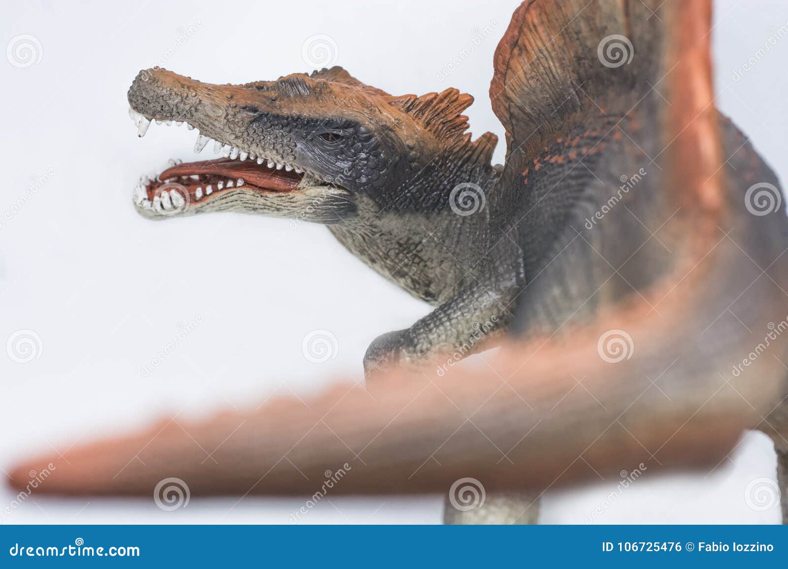 Evil Spinosaurus on White Background Waiting for Attack Stock Photo ...