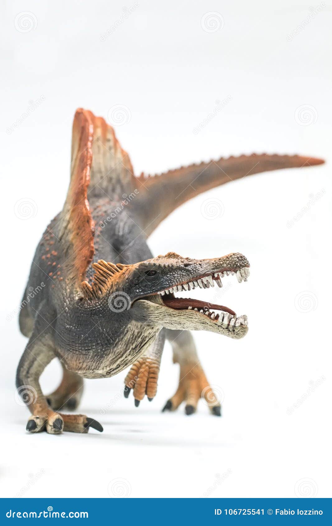 Evil Spinosaurus on White Background Waiting for Attack Stock Image ...