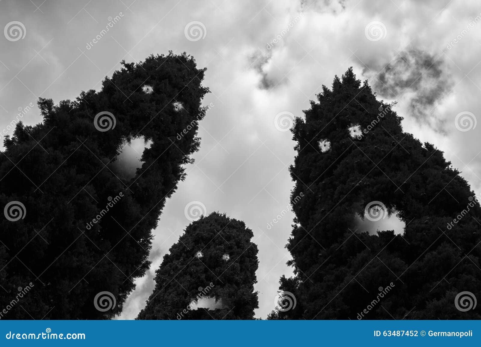 Evil trees stock photo. Image of halloween, outlines - 63487452