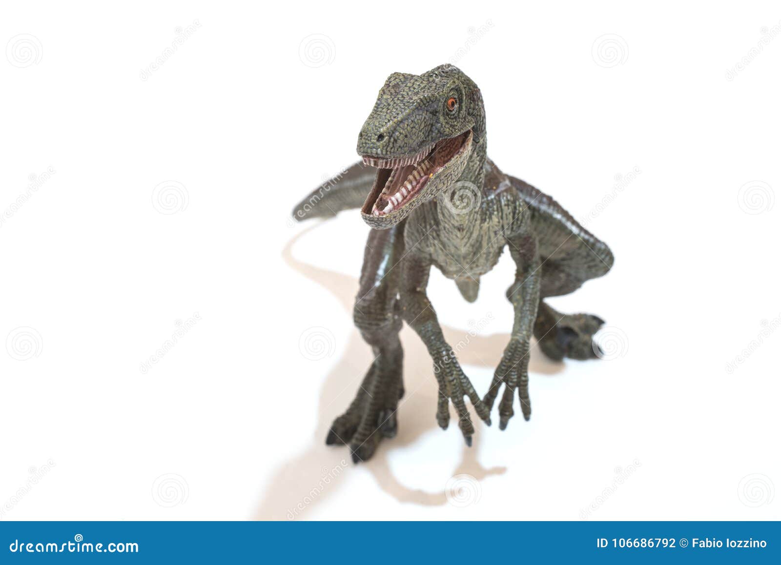 Evil Velociraptor on White Background Stock Photo - Image of force ...