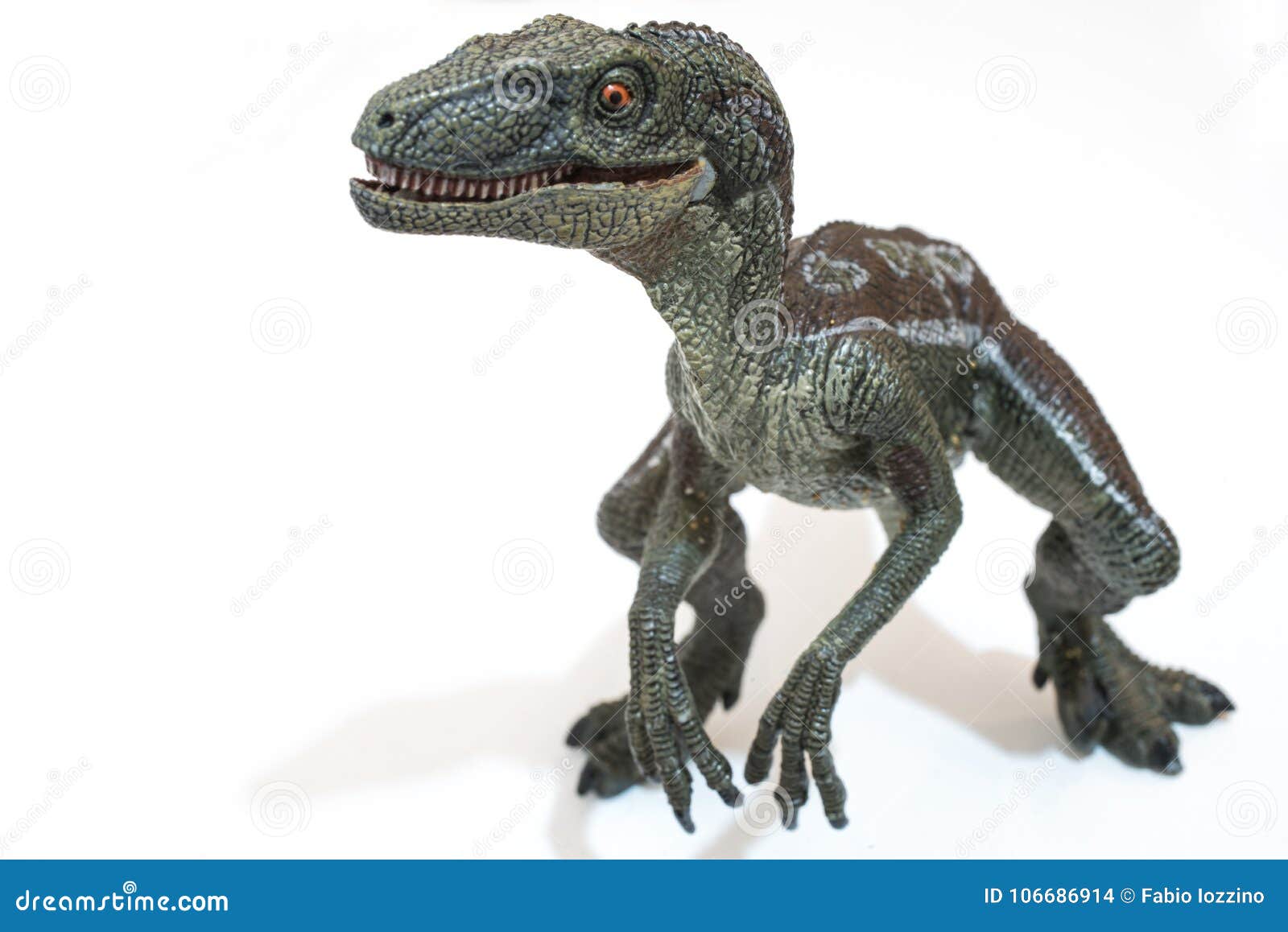 Evil Velociraptor on White Background Stock Photo - Image of ancient ...