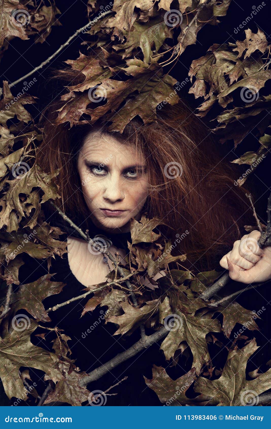 Evil Witch with Leaves and Tree Branches Stock Photo - Image of fear ...