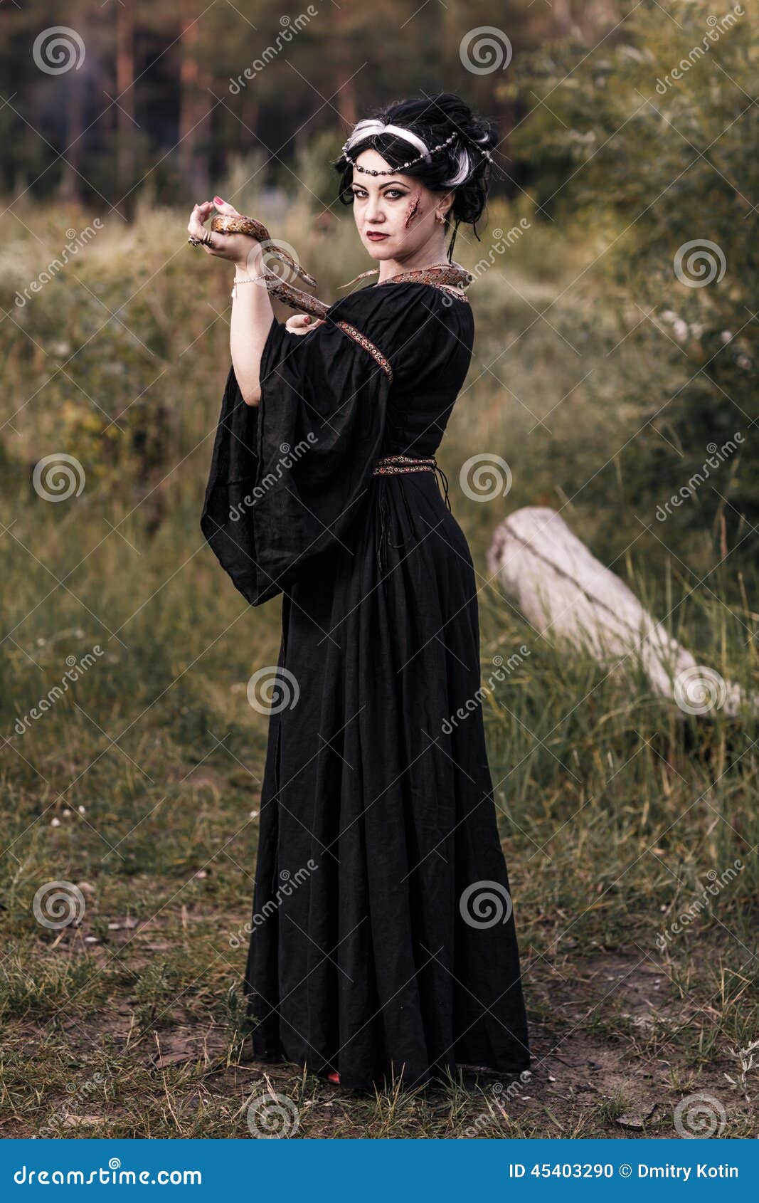 Evil witch woman stock photo. Image of curse, character - 45403290