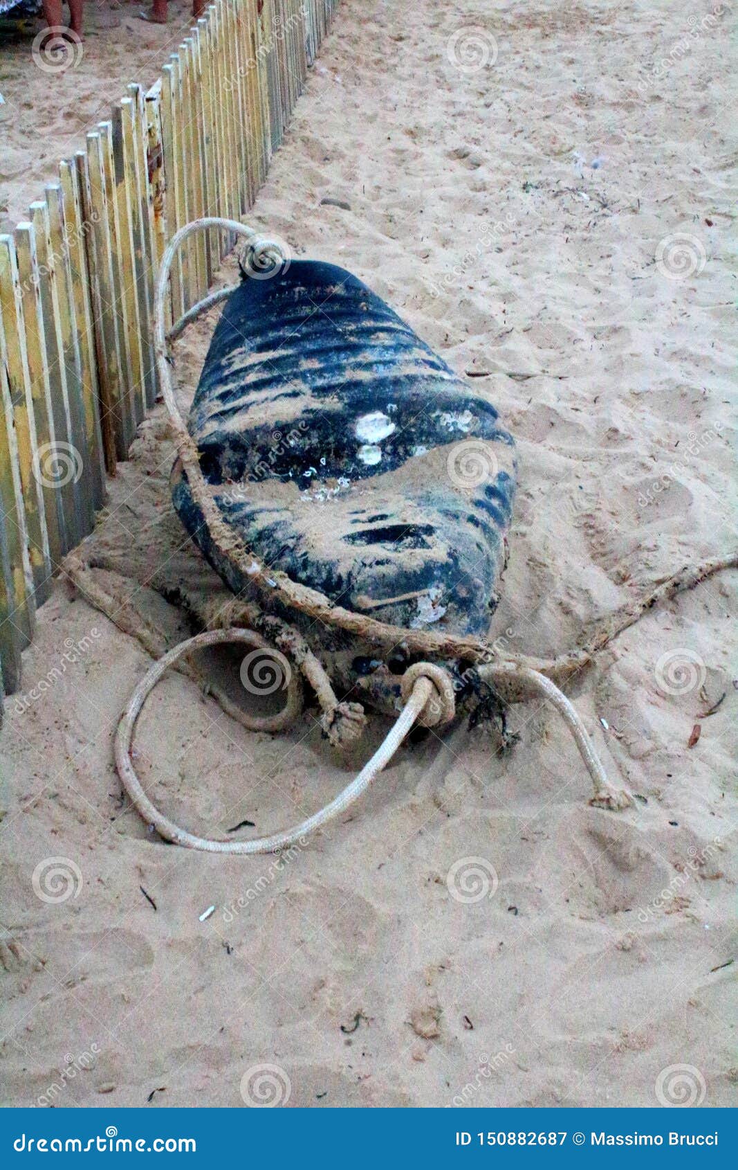 Floating buoy on the beach stock image. Image of backgroundn - 150882687