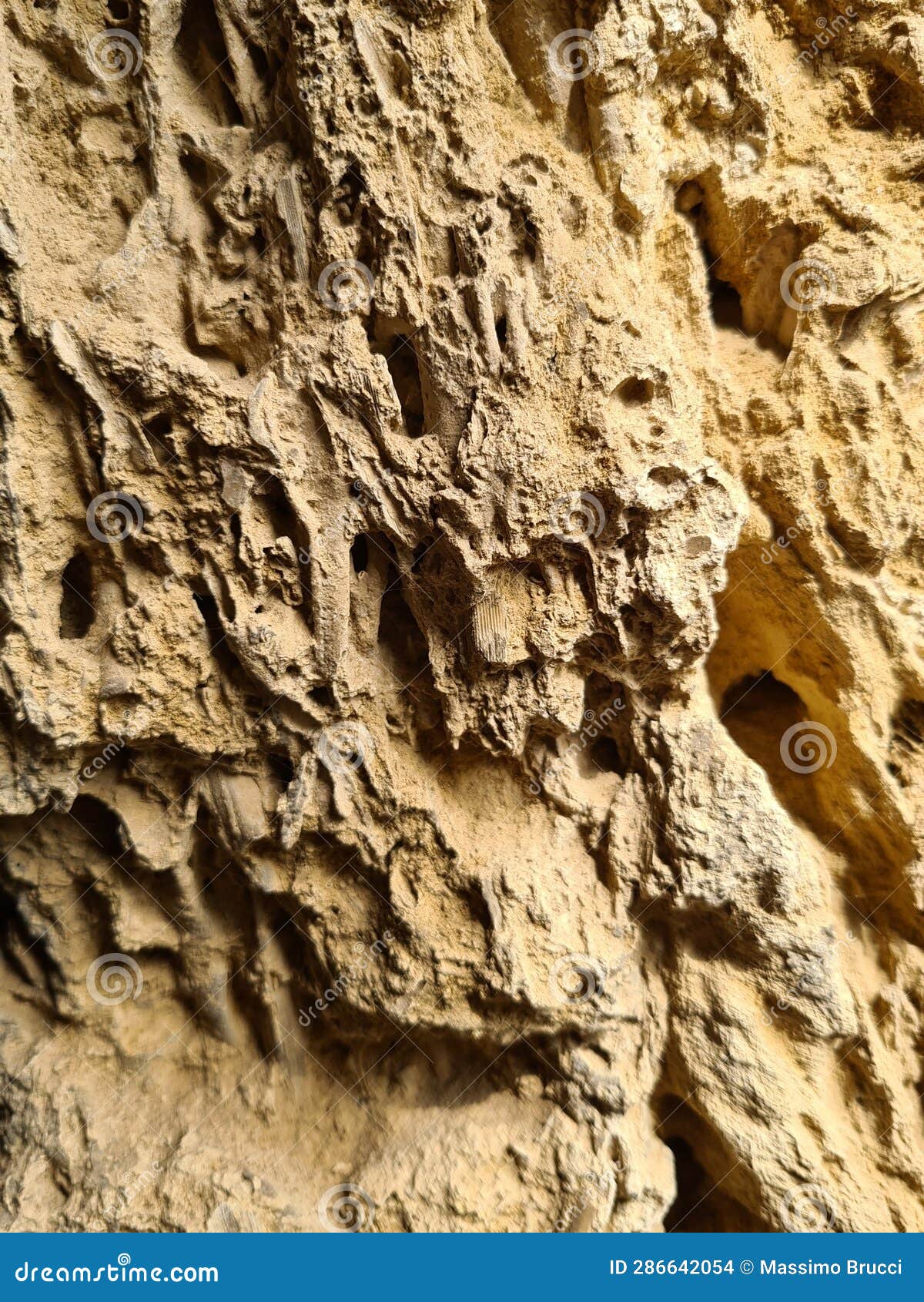 Cave wall texture stock photo. Image of geology, formation - 286642054
