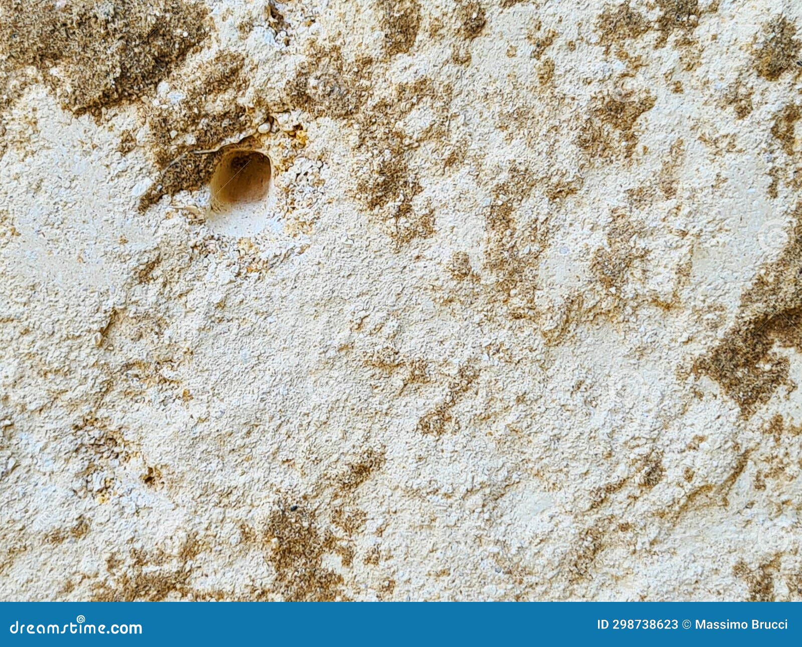 Porous Wall Surface Texture Stock Image - Image of textured, backgound ...
