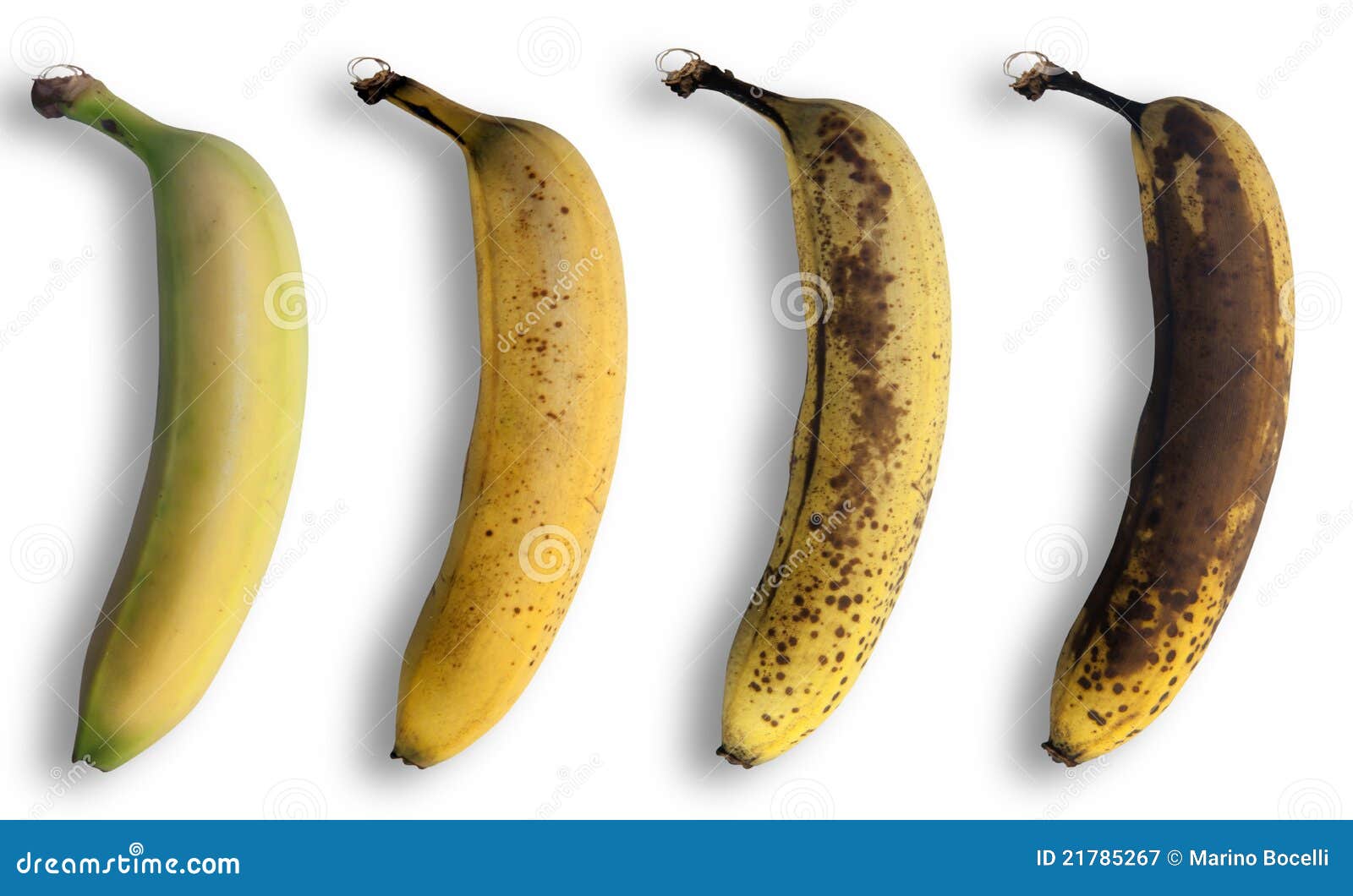 Evolución del plátano imagen de archivo. Imagen de alimento - 21785267