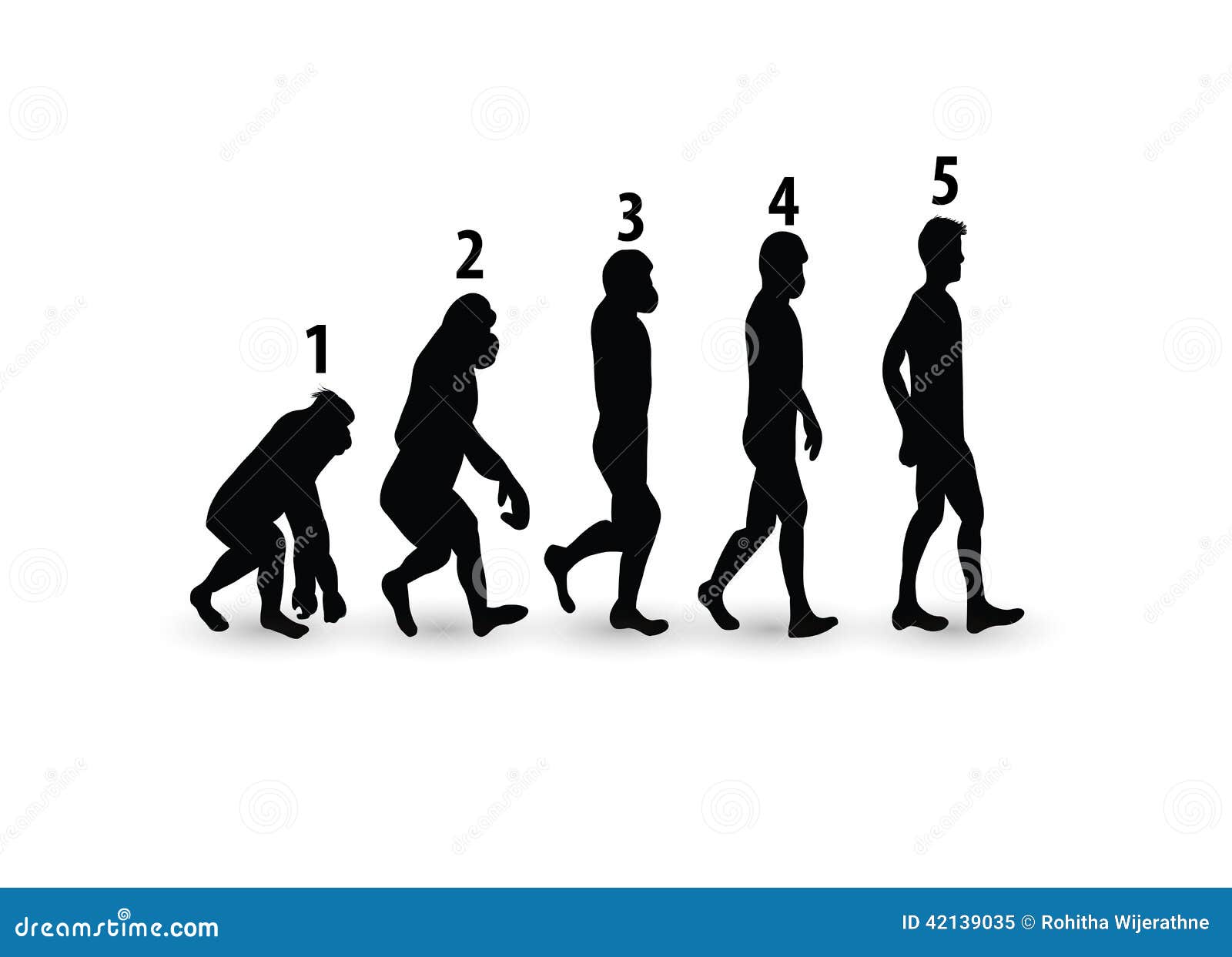 Evoluci?n stock de ilustración. Ilustración de mono, ciencia - 42139035