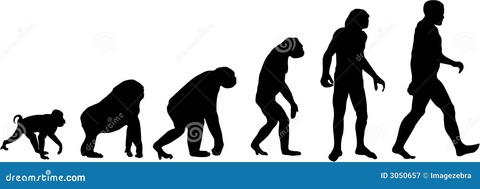 Evolutie vector illustratie. Illustration of mensen, vaardigheid - 3050657