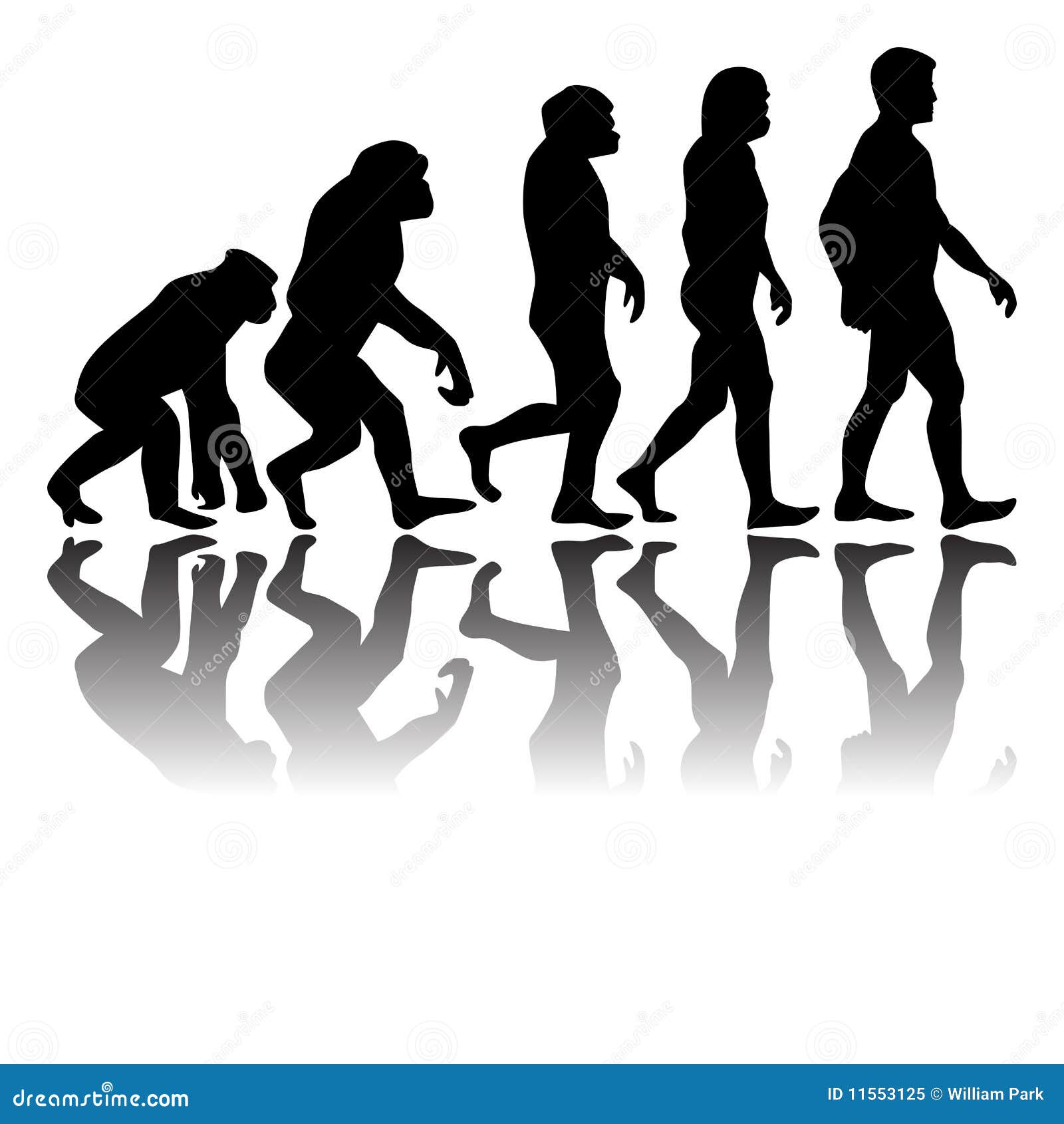 Evolution Cartoon Vector | CartoonDealer.com #11553125