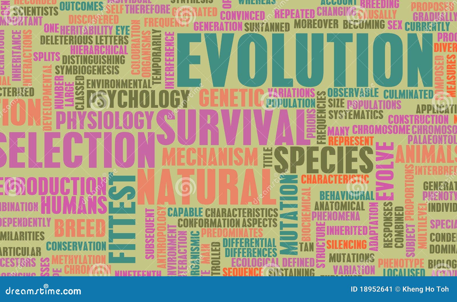 Evolution stock illustration. Illustration of abstract - 18952641
