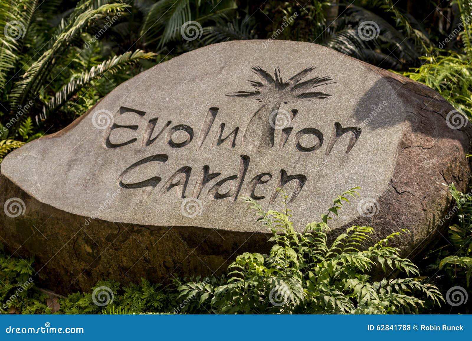 Evolution Garden in Singapore Stock Photo - Image of tropical, famous ...