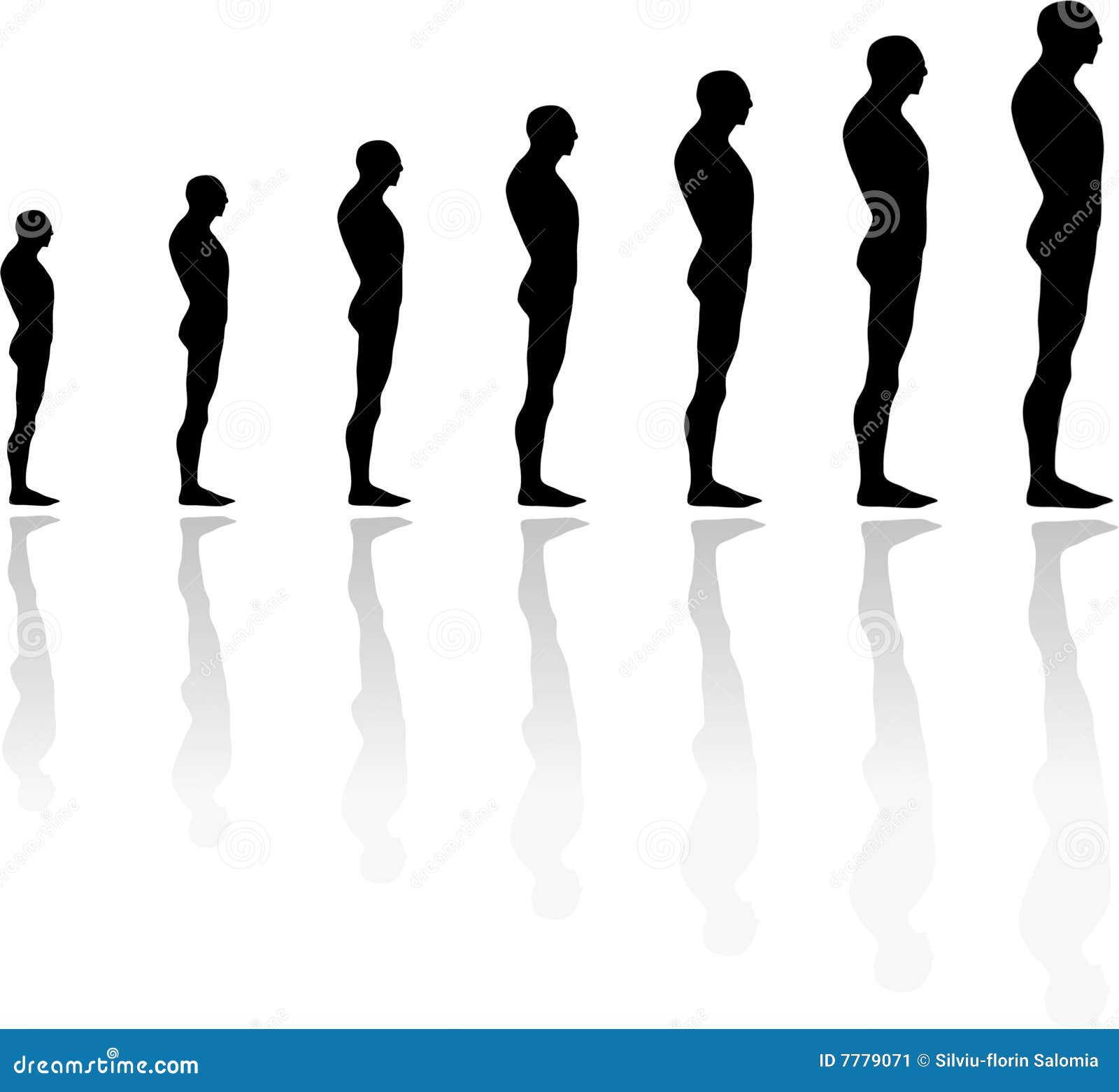 Evolution and growth stock illustration. Illustration of people - 7779071