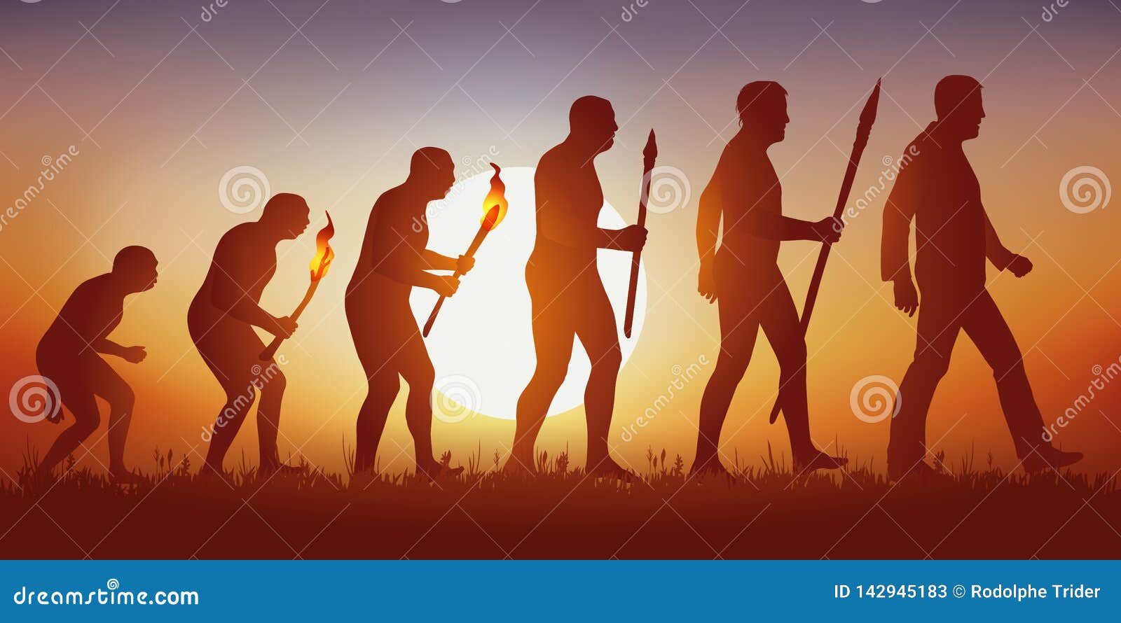 Theory Of Human Evolution. Man Development Stages. Anthropology Vector ...