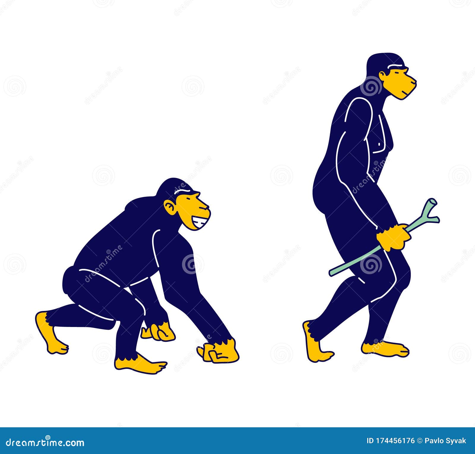 Evolution, Human Development Process Concept. Monkey Primate Evolve ...