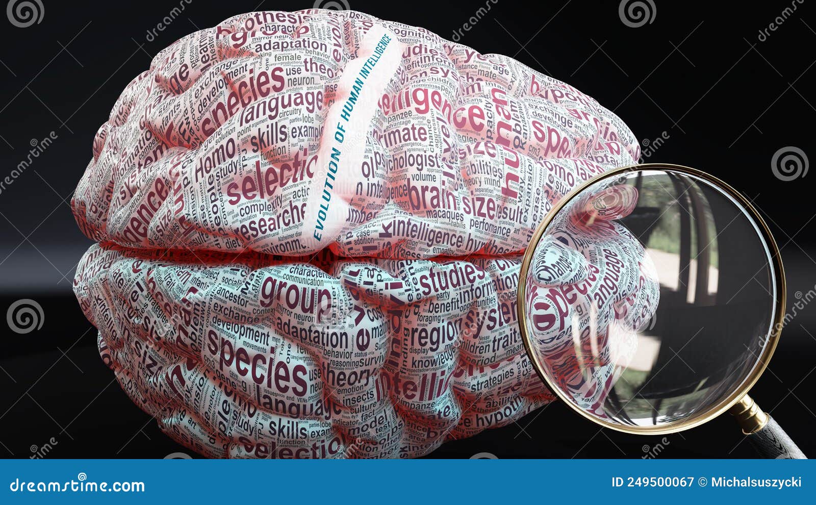 Evolution of Human Intelligence in Human Brain Stock Illustration ...