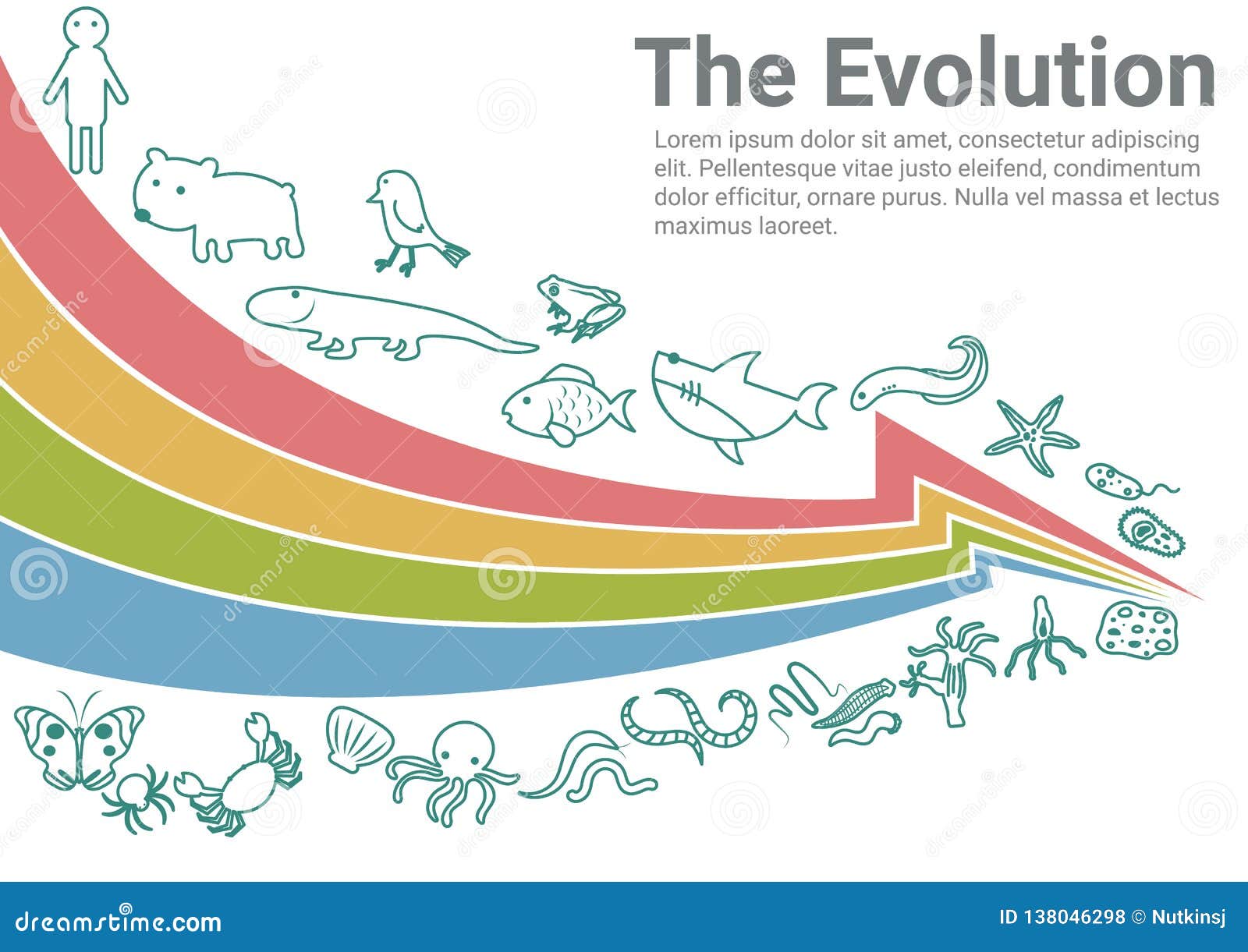 The Evolution Infographic stock vector. Illustration of lizard - 138046298