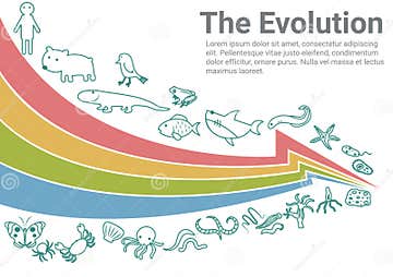 The Evolution Infographic stock vector. Illustration of lizard - 138046298