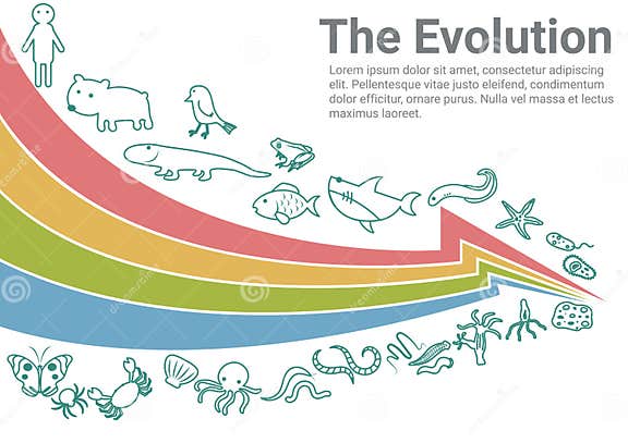 The Evolution Infographic stock vector. Illustration of lizard - 138046298