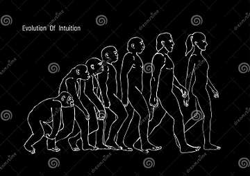 Evolution of Intuition. from Ancient Man To Modern Man Stock Vector ...