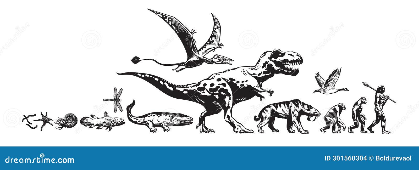 A Timeline Of Dinosaurs A Horizontal Timeline Showing Different Stock ...