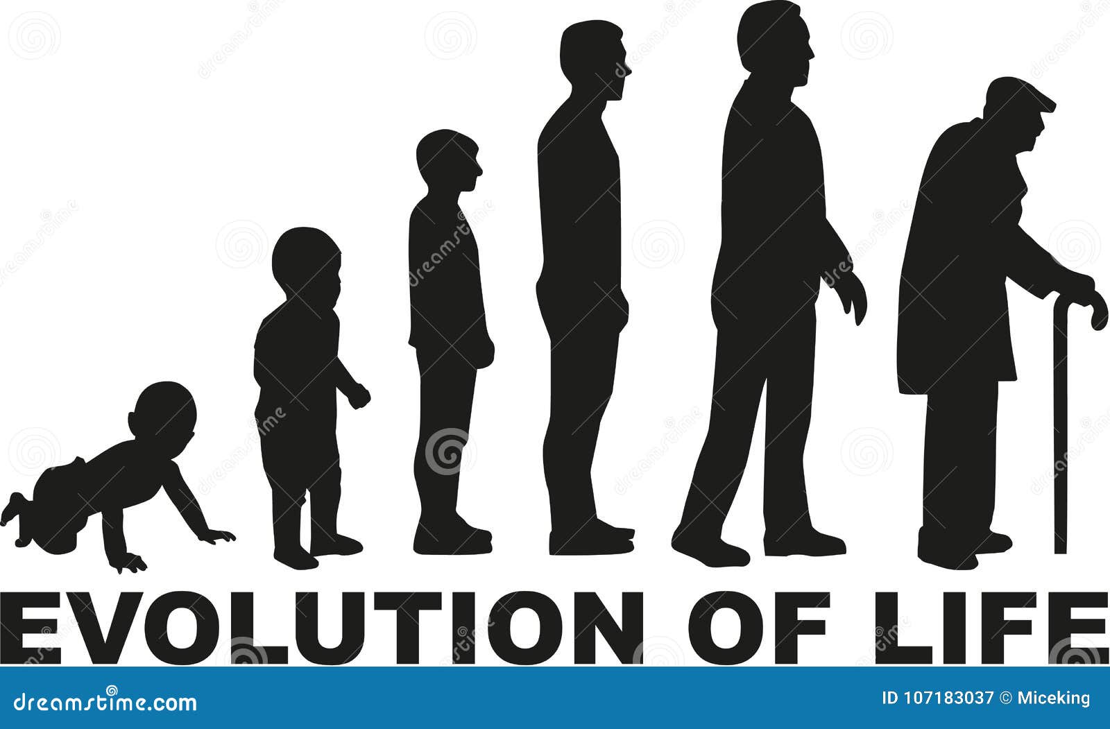 Evolution And A Life Goal - Pictured As Word Evolution On A Football ...