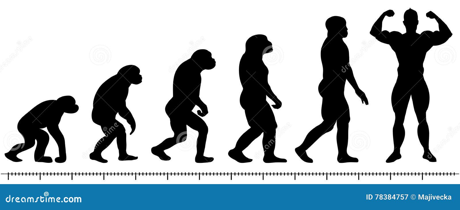 Evolution Of Man Picture