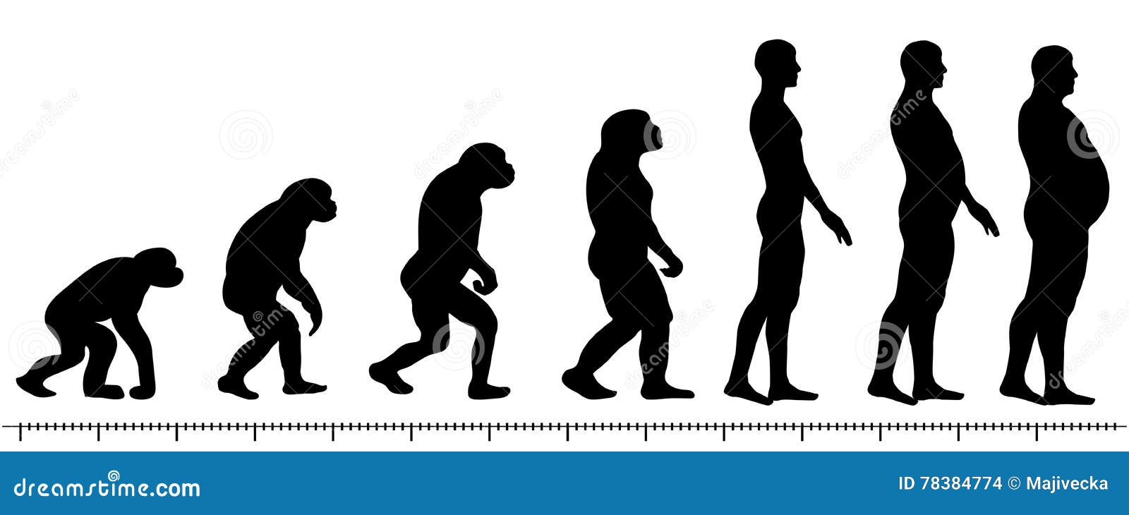 Evolution Man Fat Stock Illustrations – 65 Evolution Man Fat Stock ...