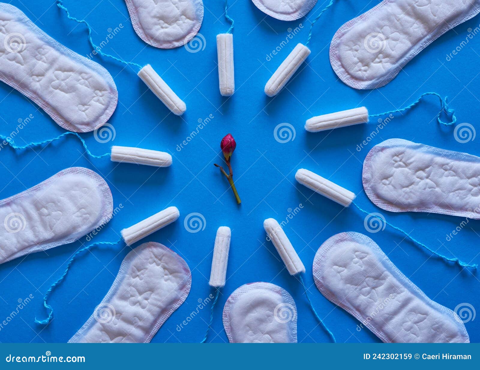 The Evolution of a Menstrual Cycle from Light To Heavy Flow - Flat Lay ...